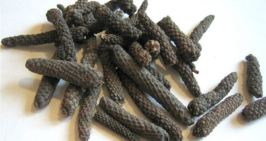 Long Pepper - Nanjil Nursery